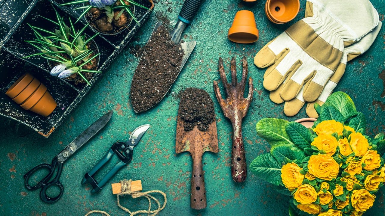Spring into Action: 10 Essential Garden Tools to Kickstart Your Growing ...